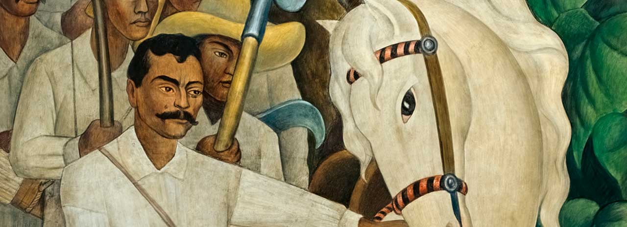 Conceptos Básicos Del Arte Animales
