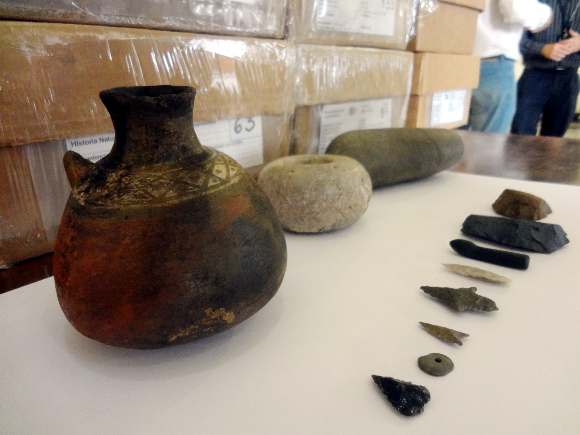 Valioso material arqueológico llega al Museo Nacional de Historia Natural